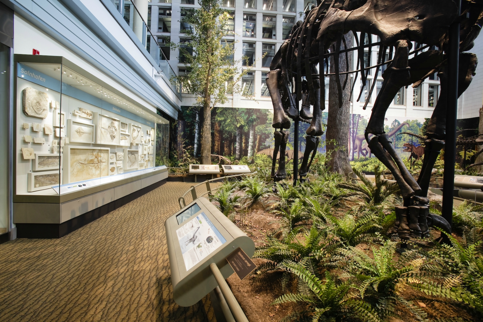 Carnegie Museums of Pittsburgh